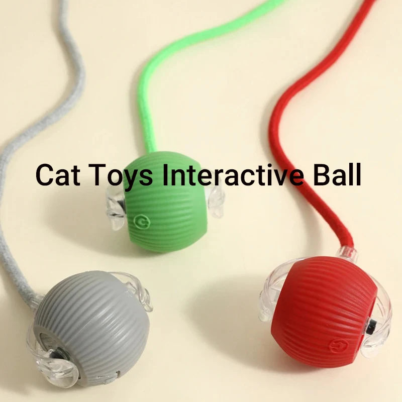 New Cat Interactive Ball Toy,Automatic Rolling Cat Ball Rechargeable,S ...