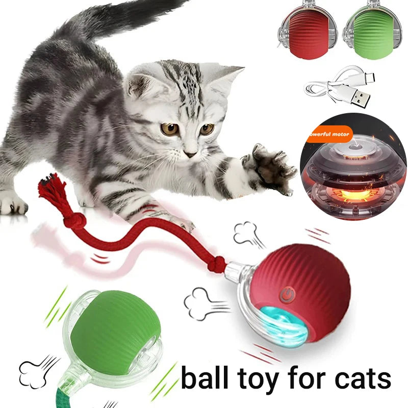 New Cat Interactive Ball Toy,Automatic Rolling Cat Ball Rechargeable,S ...